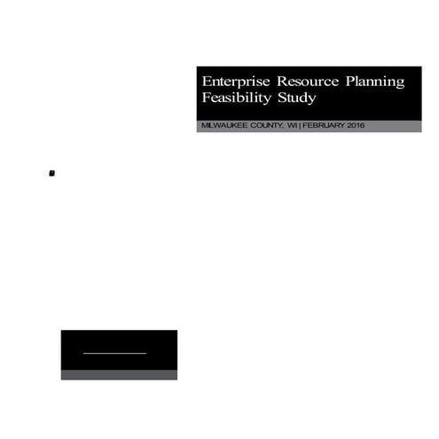 ERP system feasibilityreport_0001 | DOCX