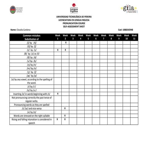Error analysis rubric | PDF