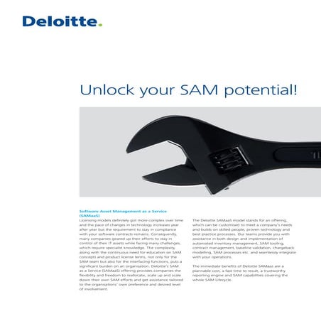 Deloitte Software Asset Management as a Service | PDF