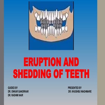 ERUPTION AND SHEDDING OF TOOTH.pptx EVERYTHING COVERED | PPTX