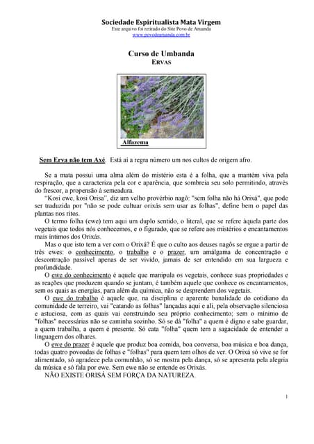 Sales support engineer recommendation letter | PPT