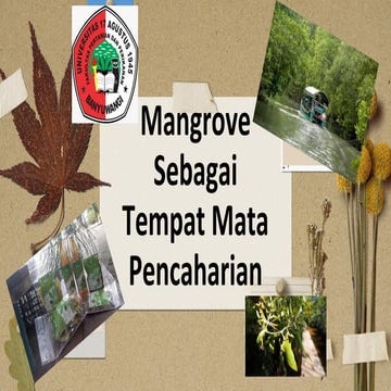 Mangrove Sebagai Tempat Mata Pencaharian (Mangroves as Livelihoods) | PDF
