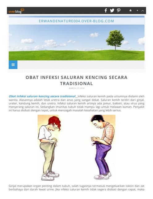 cara mengatasi wasir dengan herbal | PDF