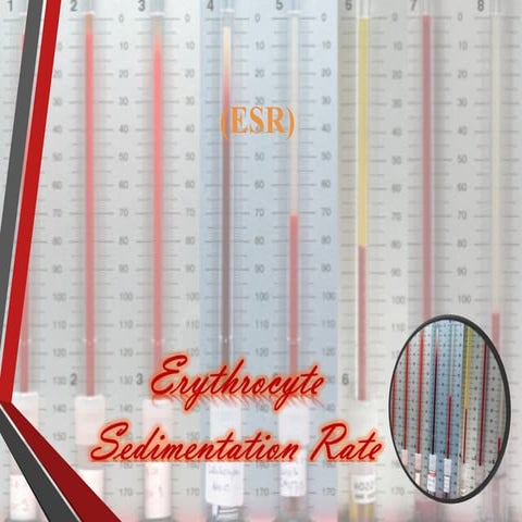 Erythrocyte Sedimentation Rate | PPTX