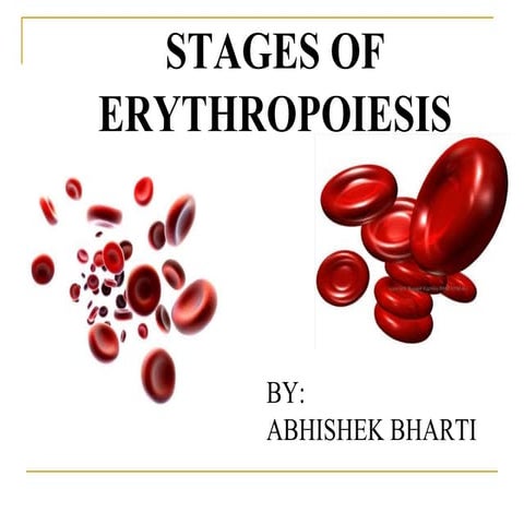 Erythropoiesis 150731072608-lva1-app6891 | PPTX