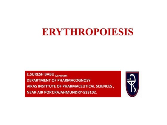 Red blood cell formation and fate of RBC | PDF