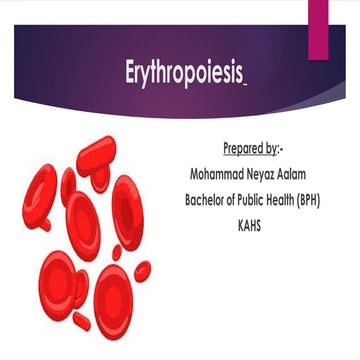 Erythropoiesis.pptx Erythropoiesis slide | PPT