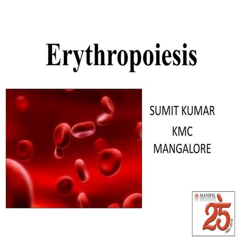 Erythropoiesis | PPTX