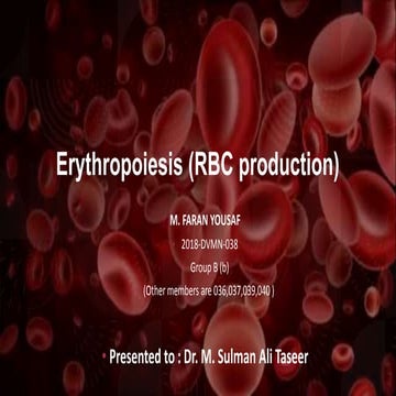 Erythropoiesis (RBC production) | PPTX