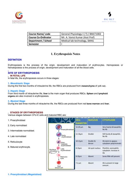 (2) histology of blood vessels | PDF
