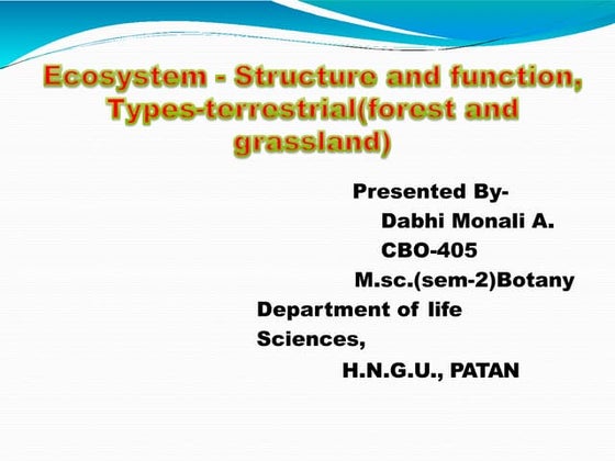 ECOSYSTTEM.pptx for class 12 biology, 2024 | PPTX