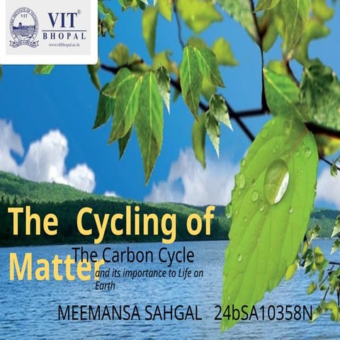 es05_cycling_of_matter_-_carbon_cycle.pptx