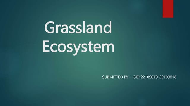 Grassland Ecosystem | PPTX