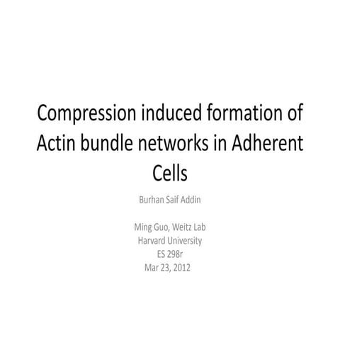 Auxetics and folding | PDF