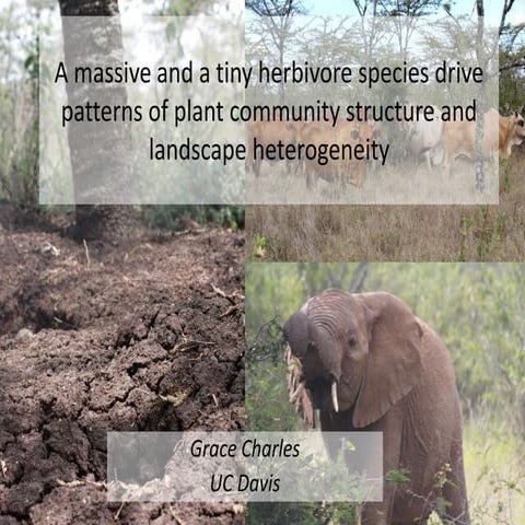 ESA 2014 A massive and a tiny herbivore species drive patterns of plant ...