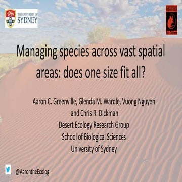 Termite Research Poster | PPT
