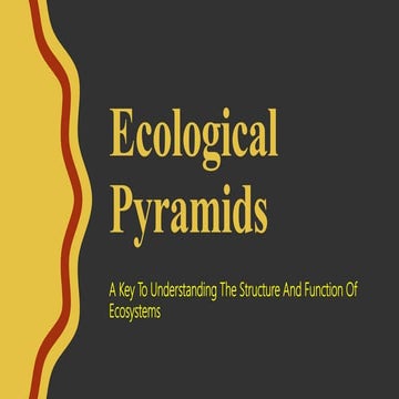 Ecological pyramids ppt | PPTX