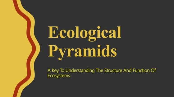 Ecological pyramids ppt | PPTX | Biological Sciences | Science
