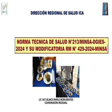 ESANS NORMA T. 213 Y MODIF. Y 429-2024.pptx