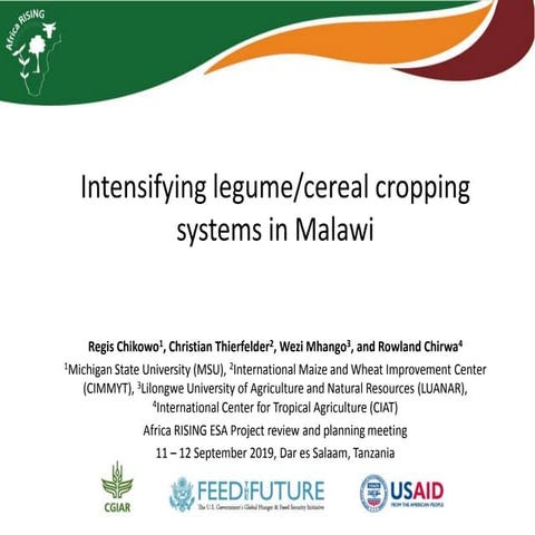 Intensifying legume/cereal cropping systems in Malawi | PPT