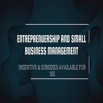 incentives for small scale business | PPTX
