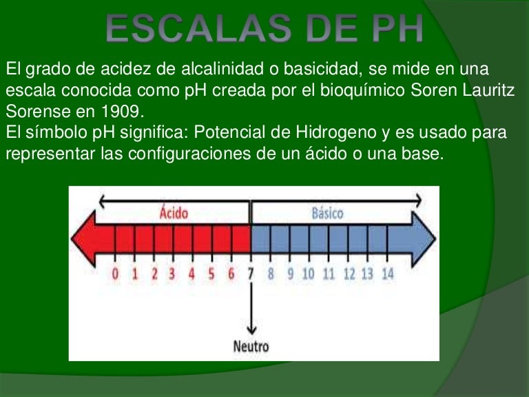 Escala De Ph Ilustrada - vrogue.co Escala De Ph Ilustrada - vrogue.co