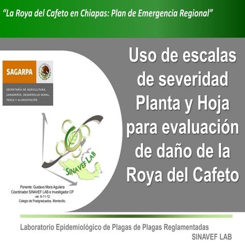 Escalas severidad 6 nov12 | PPTX