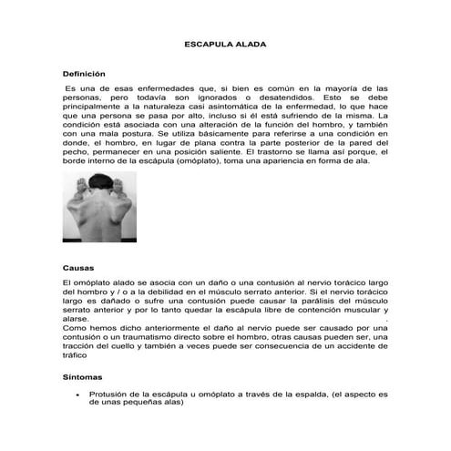 DEFINICIÓN DE LAS ESCAPULAS ALADAS EN LA FISIOTERAPIA | PPTX