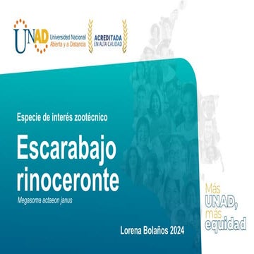 Escarabajo Rinoceronte zoocría por Lorena Bolaños UNAD | PDF