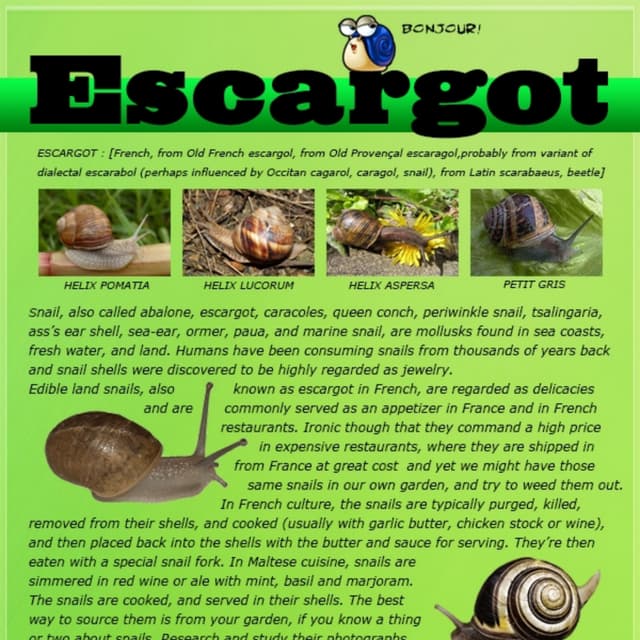 Escargot | PDF