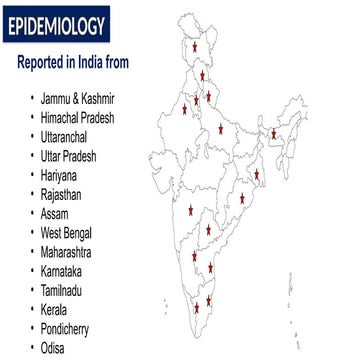 Epidemiology and distribution of Eschar in Rickettsial_fever.pptx
