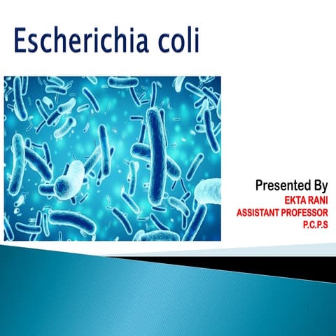 Escherichia coli | PDF