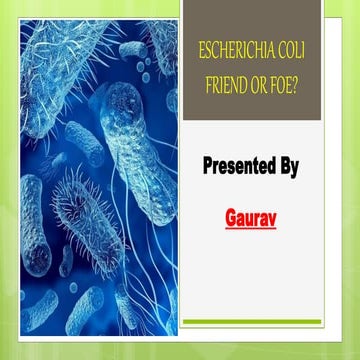 ESCHERICHIA COLI (E. Coli) By Gaurav.pptx. | PPTX