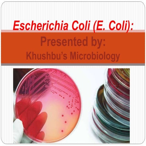 Escherichia coli (e.c oli) | PPT
