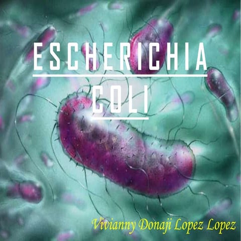 Escherichia Coli Enterohemorragica. Fisiopatologia y Tratamiento.pptx