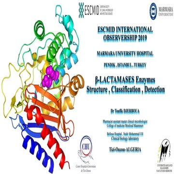 beta lactamases : structure , classification and investigations | PDF