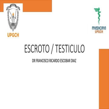 Diapositivas acerca sobre anatomia, fisiologia del escroto | PPTX