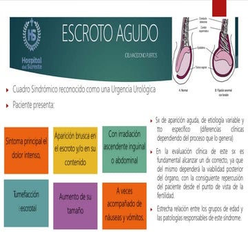 ESCROTO AGUDO.pptx