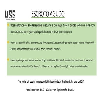 ESCROTO AGUDO UROLOGIA, DIAPOSITIVAS.pptx