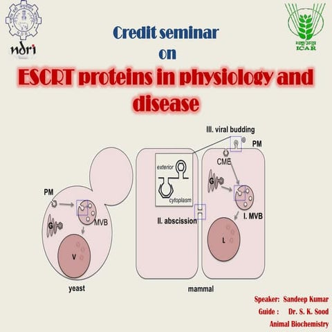 Escrt proteins in physiology and diseases | PPTX