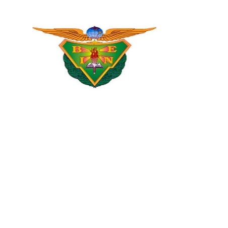 Escudo bine[1][1] | DOC