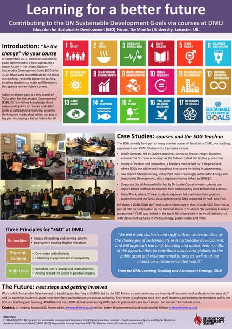 Valuing the Future: Linking the UN Sustainable Development Goals to ...