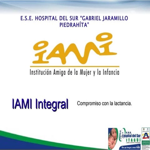 Ese hospital del sur iami integral | PPT