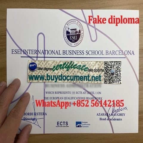 ESEI International Business School diploma | PPT