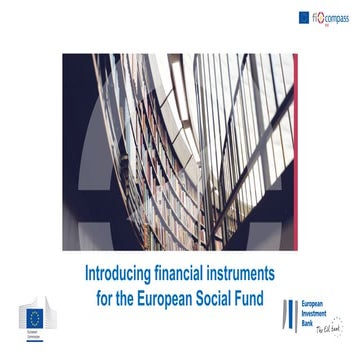 Introducing financial instruments for the European Social Fund | PDF