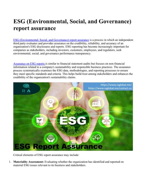 ESG Report Assurance.pdf
