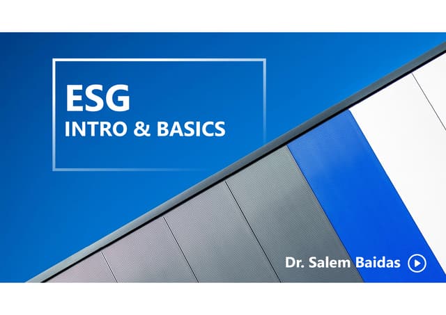 ESG Explained - Introduction | PDF