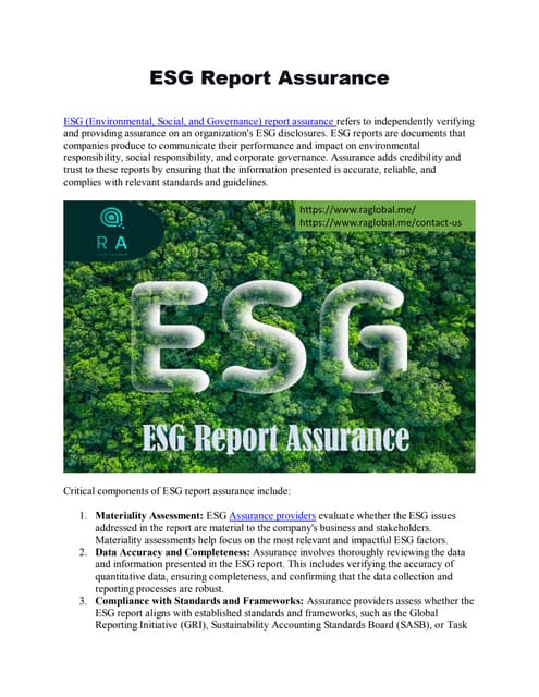 Sustainability Report Assurance.docx