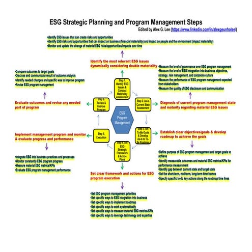 ESG Strategic Planning and Program Management Steps | PDF