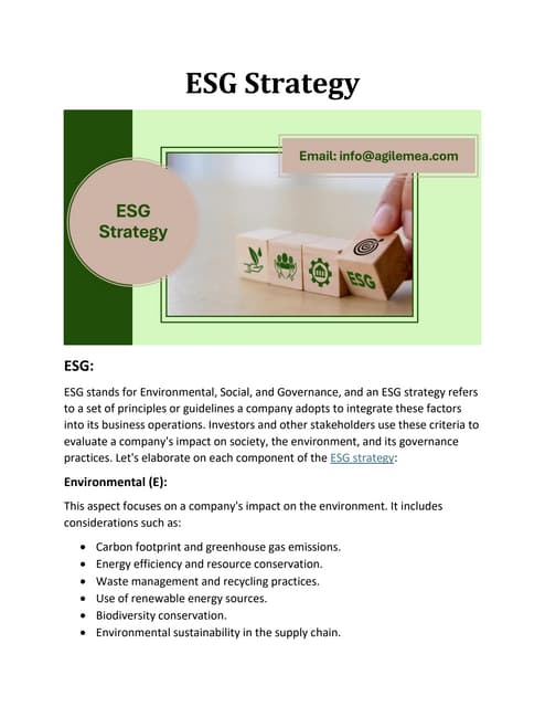 ESG 101 | PDF
